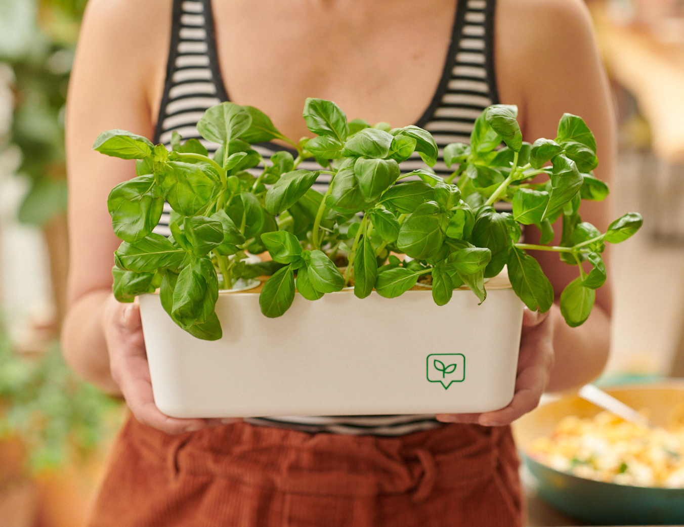 AllotMe | Find an AllotMent | Grow Your Own Food | List Your Space